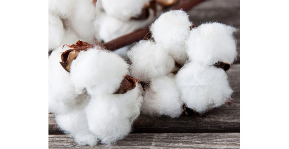 Cosa è il cotone idrofilo? - Articoli Sanitari Shop